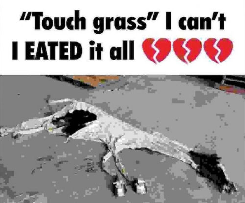 Crossroad Combat Character Tierlist Tier List (Community Rankings ...