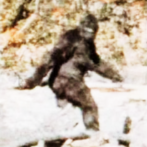 Create a Cryptid Tier List - TierMaker