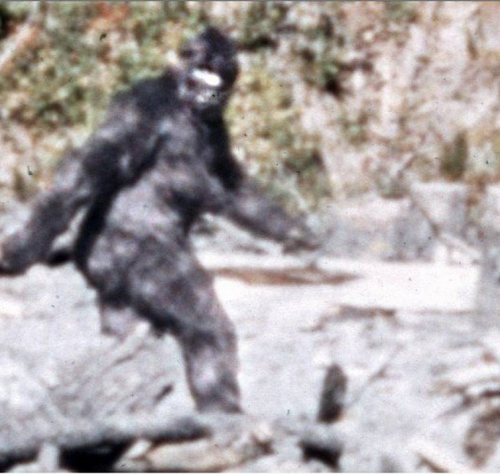 Create a cryptid tierlsit Tier List - TierMaker