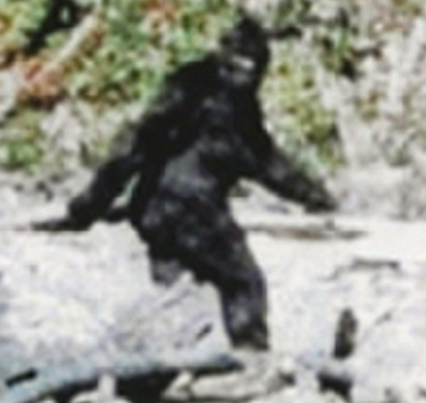 Create a Cryptids I could beat in a fight Tier List - TierMaker