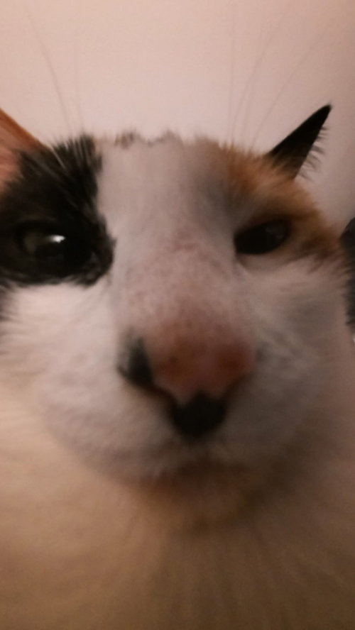 CS GO TEAMS TIER Tier List (Community Rankings) - TierMaker