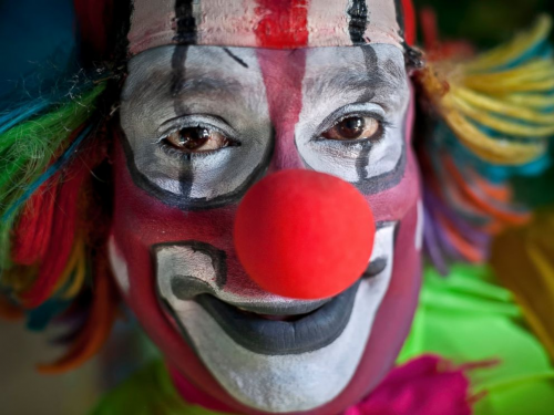 Create a Cuddle Buddy Circus Tier List - TierMaker