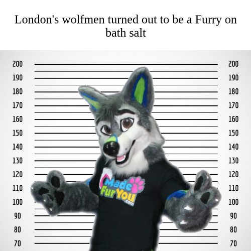 Create a cute puppy Tier List - TierMaker