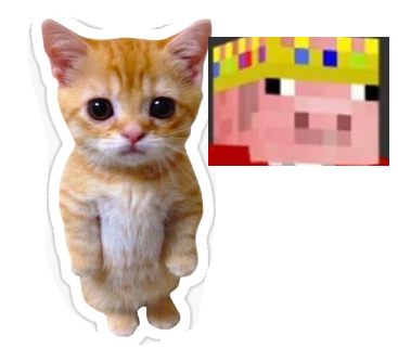 Cuzzies! ee123 Tier List (Community Rankings) - TierMaker