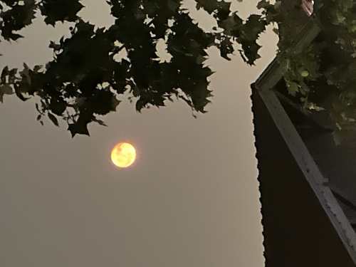 Cuzzo Ranked Tier List (Community Rankings) - TierMaker