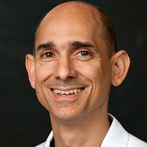 d2 all current raids Tier List (Community Rankings) - TierMaker