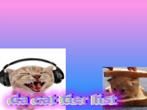 da cat Tier List (Community Rankings) - TierMaker