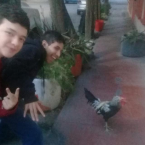 DABAL Tier List (Community Rankings) - TierMaker