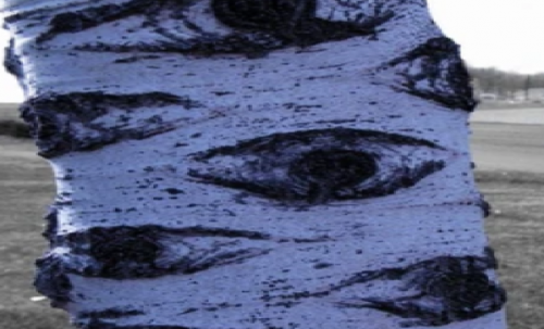 Daratango's Tier List (Community Rankings) - TierMaker