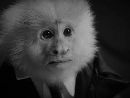 David Lynch characters Tier List (Community Rankings) - TierMaker