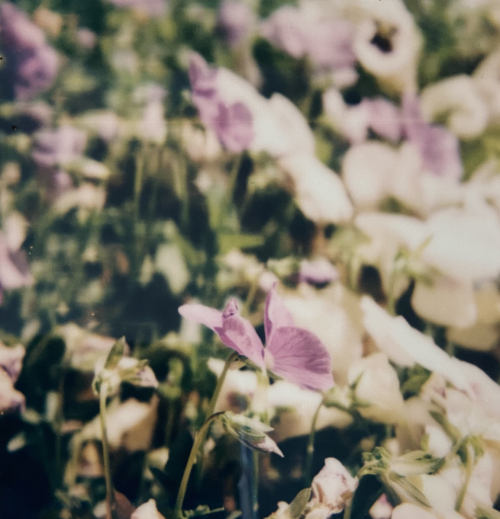 Create a Day Wave Album Covers Tier List - TierMaker