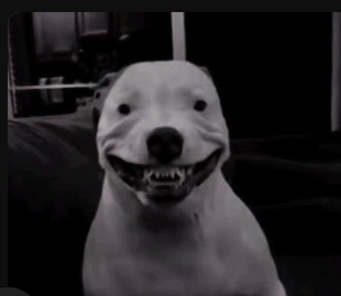 Dbl ultra rankings Tier List (Community Rankings) - TierMaker