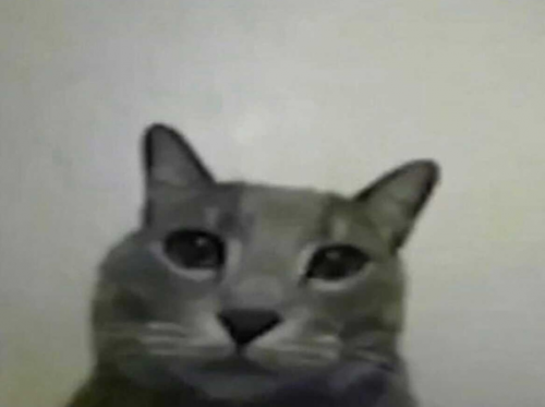 dead ahead map Tier List (Community Rankings) - TierMaker