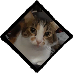 Dead by daylight PERK Tier maker 5.1.0 Fn Tier List (Community Rankings ...