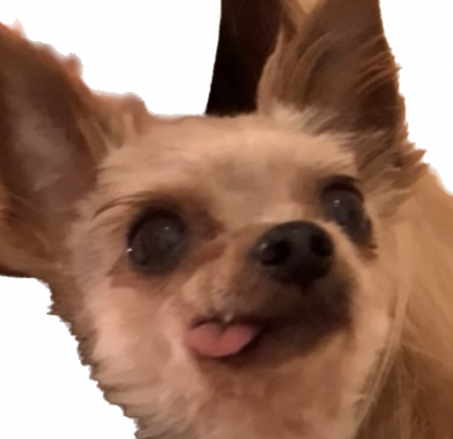 Tier List Maker - Create a Tier List - TierMaker