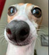 deepwoken bell tierlist but irl usage Tier List (Community Rankings ...