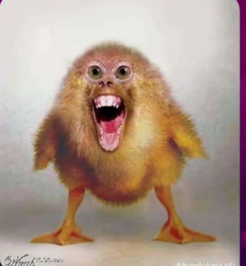 deepwoken my guild list Tier List (Community Rankings) - TierMaker