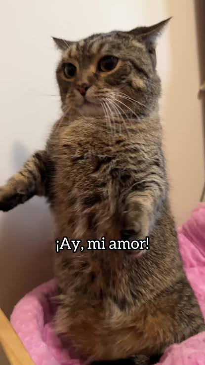 Demon slayer burning ashes bda Tier List (Community Rankings) - TierMaker