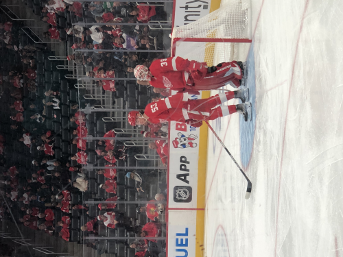 Create a Detroit Redwings 2022-23 Tier List - TierMaker