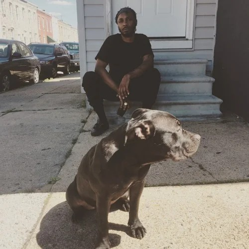 Create a Devon Hendryx / JPEGMAFIA albums tierlist Tier List - TierMaker