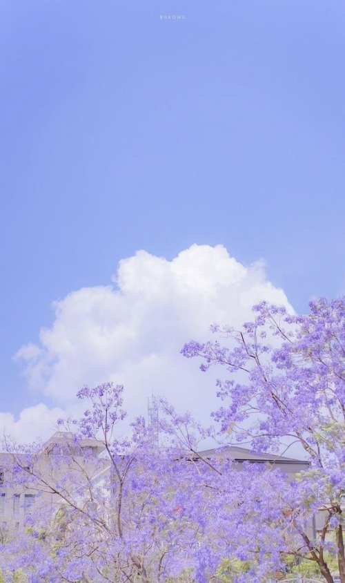 doda_movie_list Tier List (Community Rankings) - TierMaker