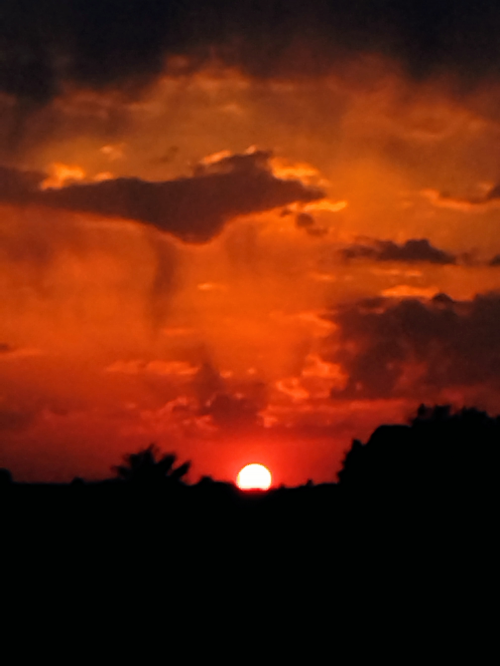 Create a Don't mind me Tier List - TierMaker