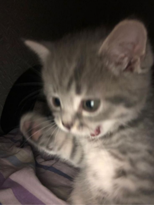 dota high skill Tier List (Community Rankings) - TierMaker