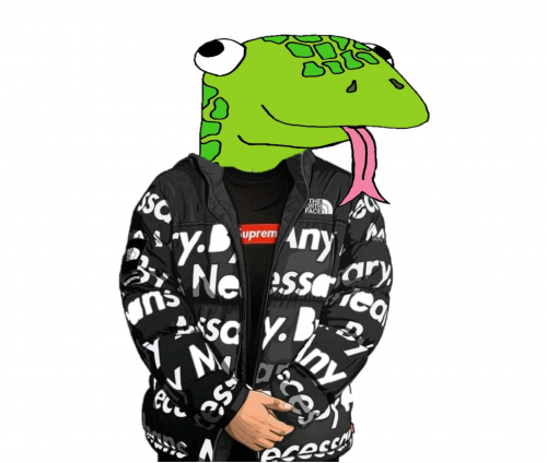 Create a DripLizard Tierlist Tier List - TierMaker