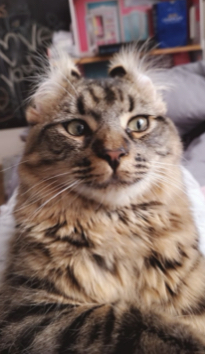 Drizzy Bundles Is cool Tier List (Community Rankings) - TierMaker