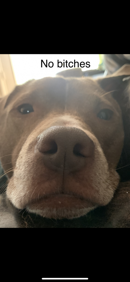 dsrpg2 breathing tierlist Tier List (Community Rankings) - TierMaker