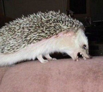 DTU TA Tier List (Community Rankings) - TierMaker