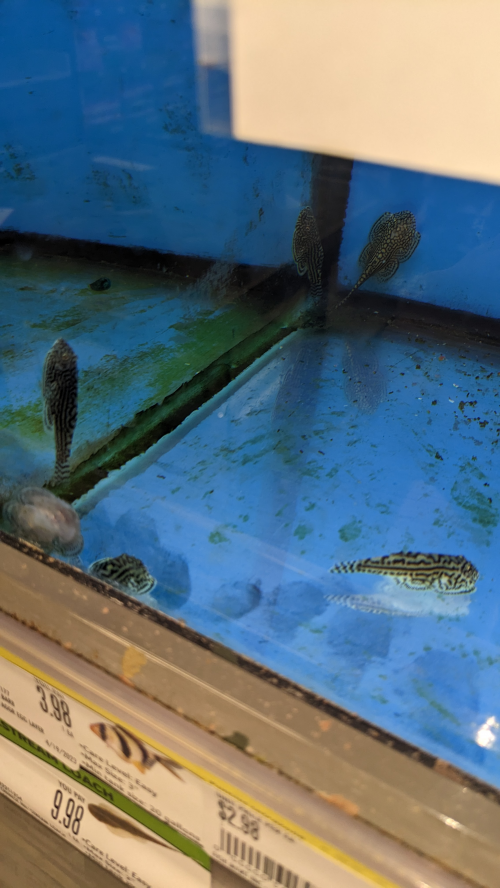 Create a Dylan Instagram Post Tier List - TierMaker