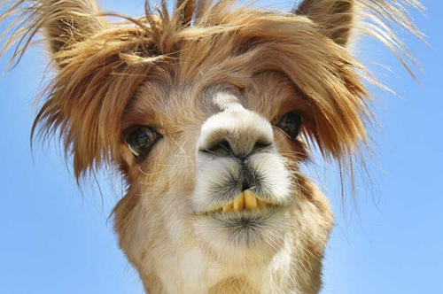 echo people 2 Tier List (Community Rankings) - TierMaker