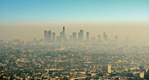 Create a Effects of pollution Tier List - TierMaker