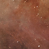 Egor Movies Tier List (Community Rankings) - TierMaker