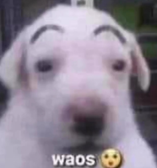 Create a el olimpo de los memes Tier List - TierMaker