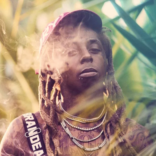 Create a Every Lil Wayne Project (including mixtapes) Tier List - TierMaker