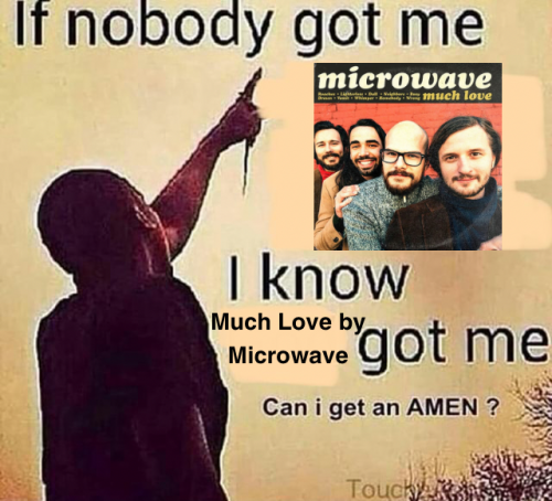 Create a every single microwave song (yes, even swine driver) Tier List ...