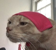 Create a Evil oc list Tier List - TierMaker