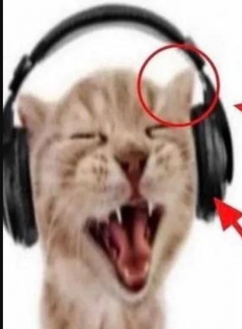 Create a exgl niglets Tier List - TierMaker