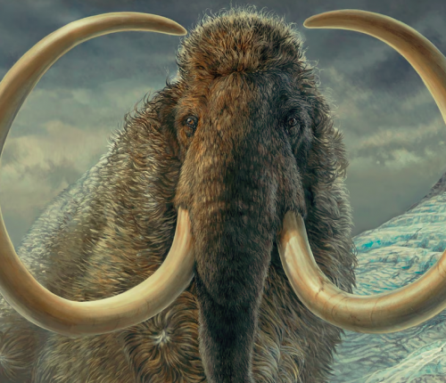 Create a EXTINCT MAMMALS Tier List - TierMaker