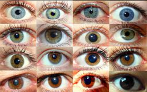 Eye Colour Tier List (Community Rankings) - TierMaker
