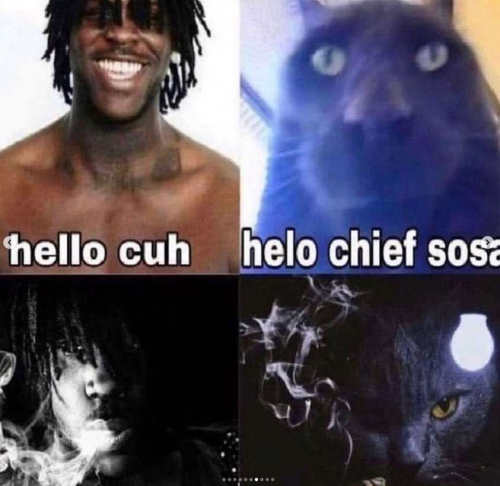 fart Tier List (Community Rankings) - TierMaker