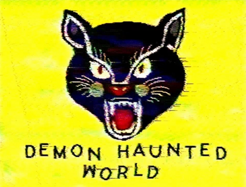 Create a Favorite Felines Tier List - TierMaker