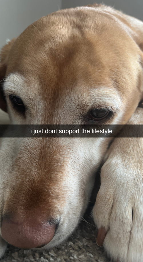 Create a FB Overwatch Tier List - TierMaker