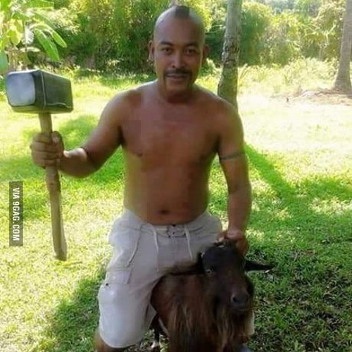 Create a Fet hogrider dase Tier List - TierMaker