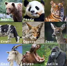 Create a Fictional Animal Motifs Tier List - TierMaker