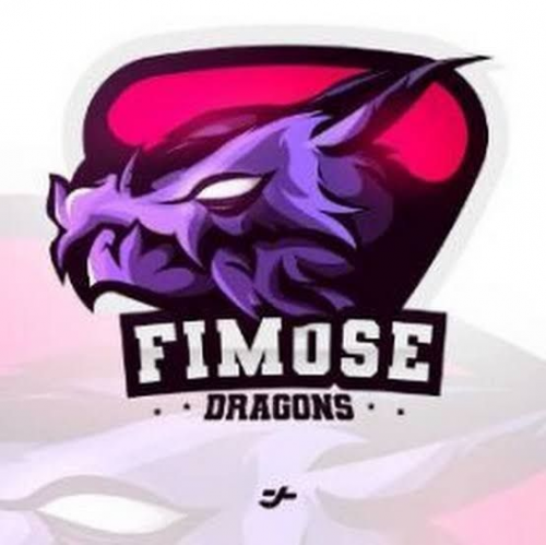 Fimose Dragons Deja Version Tier List (Community Rankings) - TierMaker