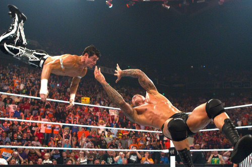 Create a Finishers WWE Tier List - TierMaker