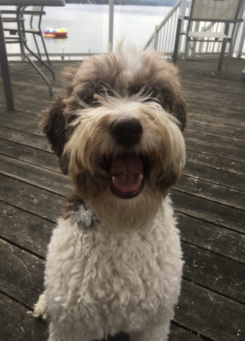 Create a first dance songs Tier List - TierMaker